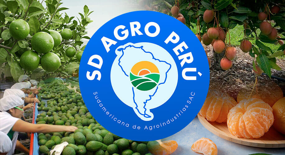 SD AGRO PERU - Exportamos Frutas Frescas Peruanas
